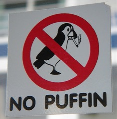 29 and Holding...: No Penguins Allowed!